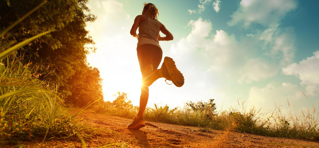 Health Benefits of Regular Exercise → Click Here